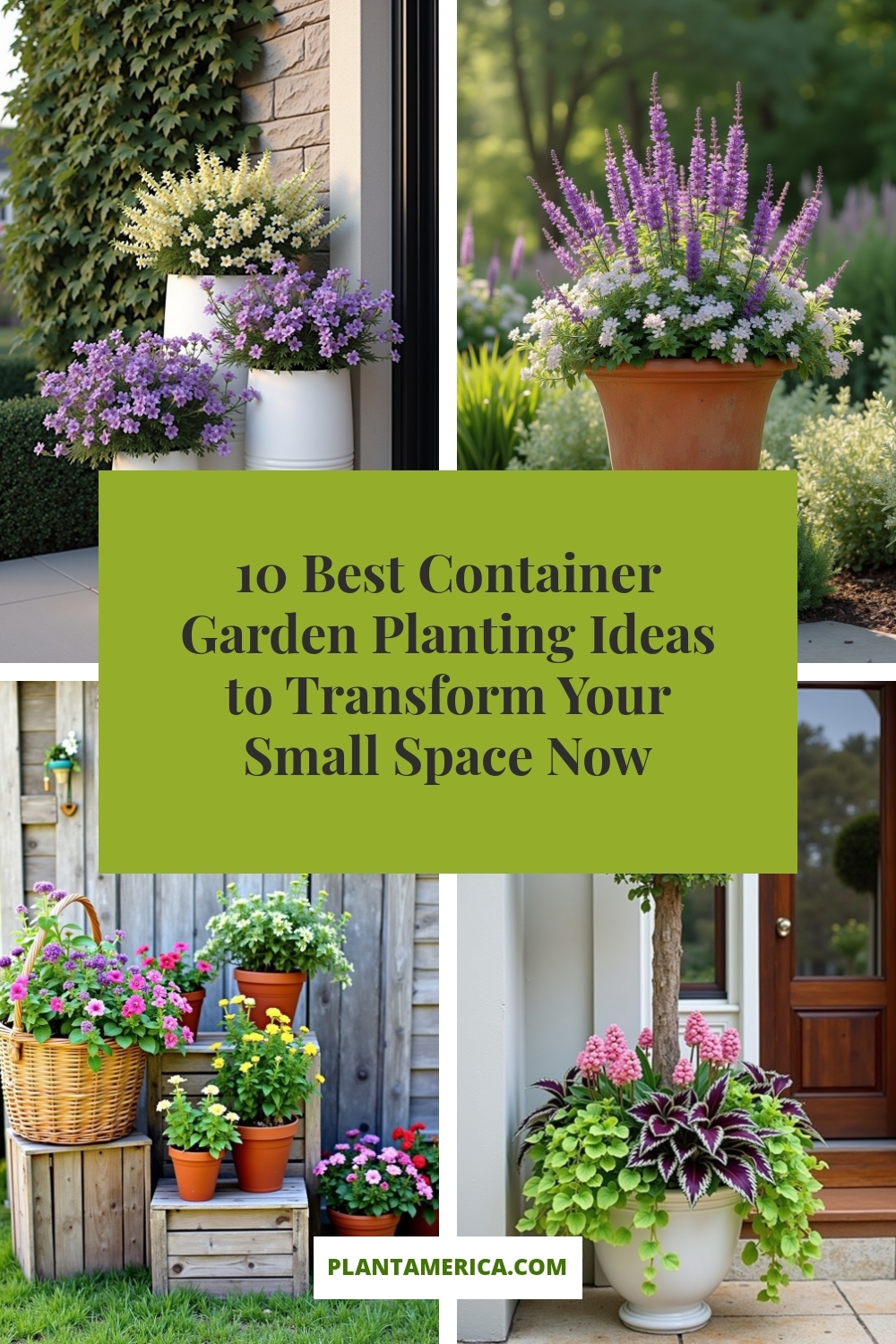 8 Best Container Garden Planting Ideas to Transform Your Small Space ...