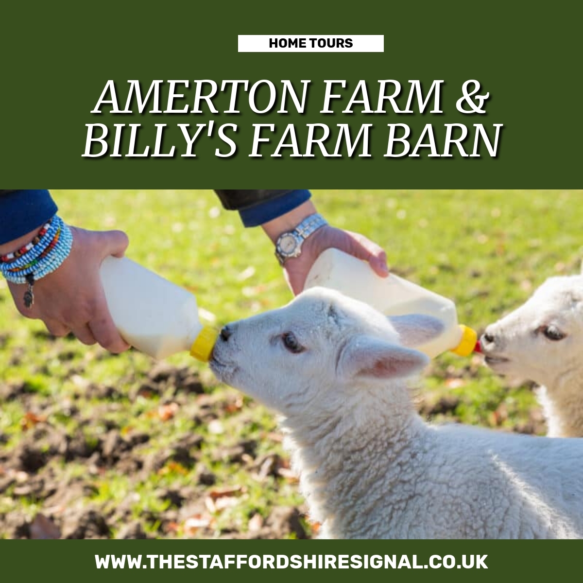 Amerton Farm & Billy's Farm Barn